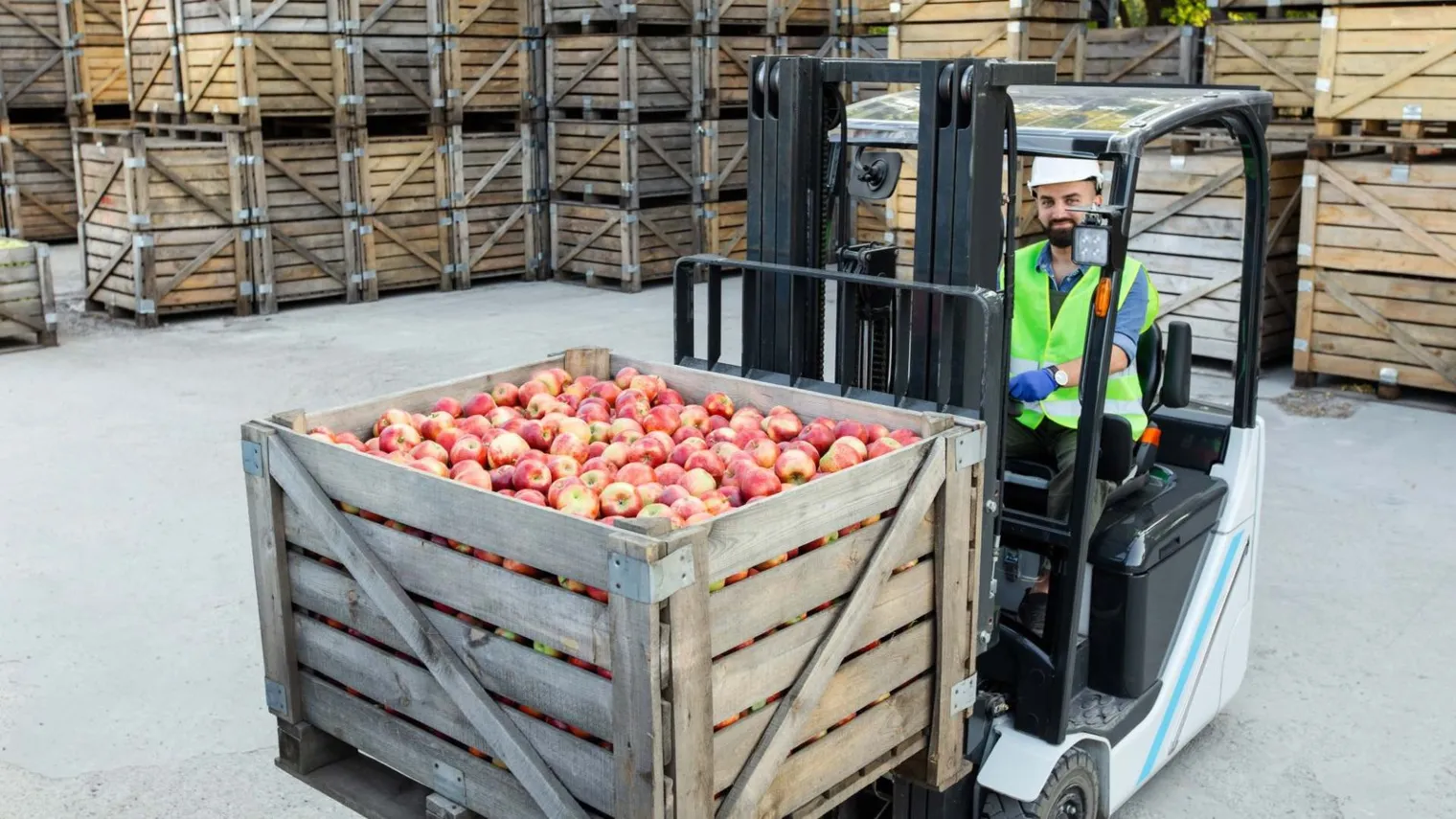 Cold Chain Logistics Systems in Middle Eastern Climates